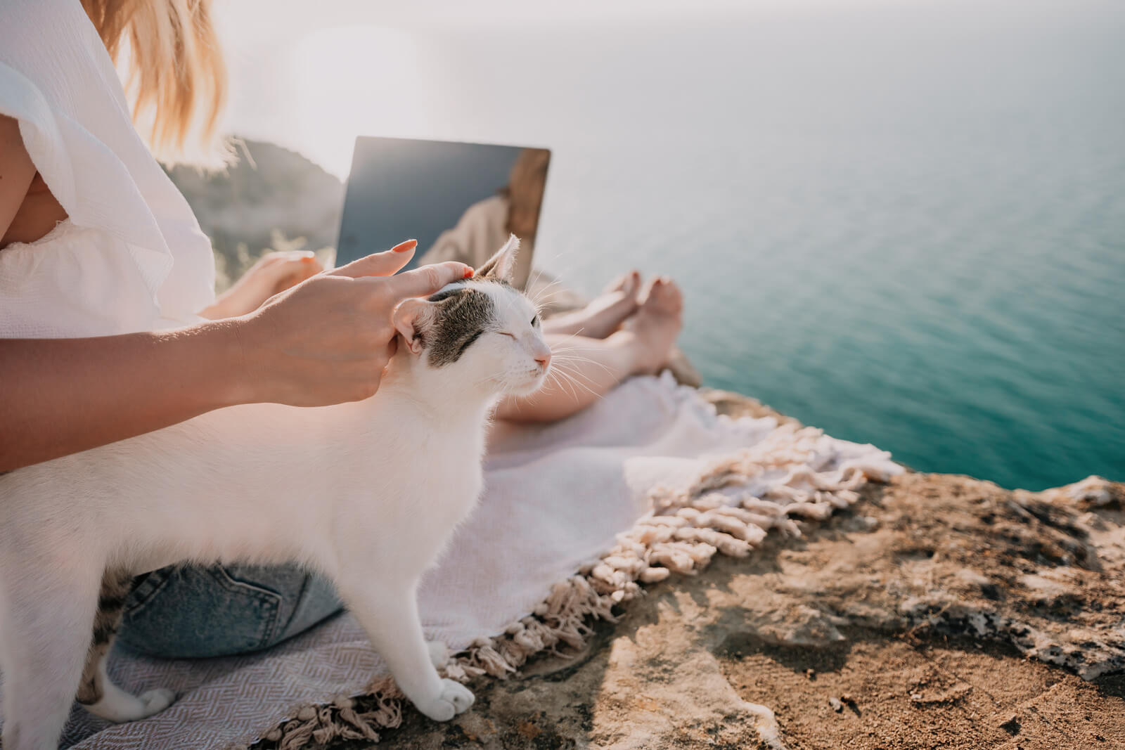 Urlaub! Aber wer betreut meine Katze? - CatPerfect